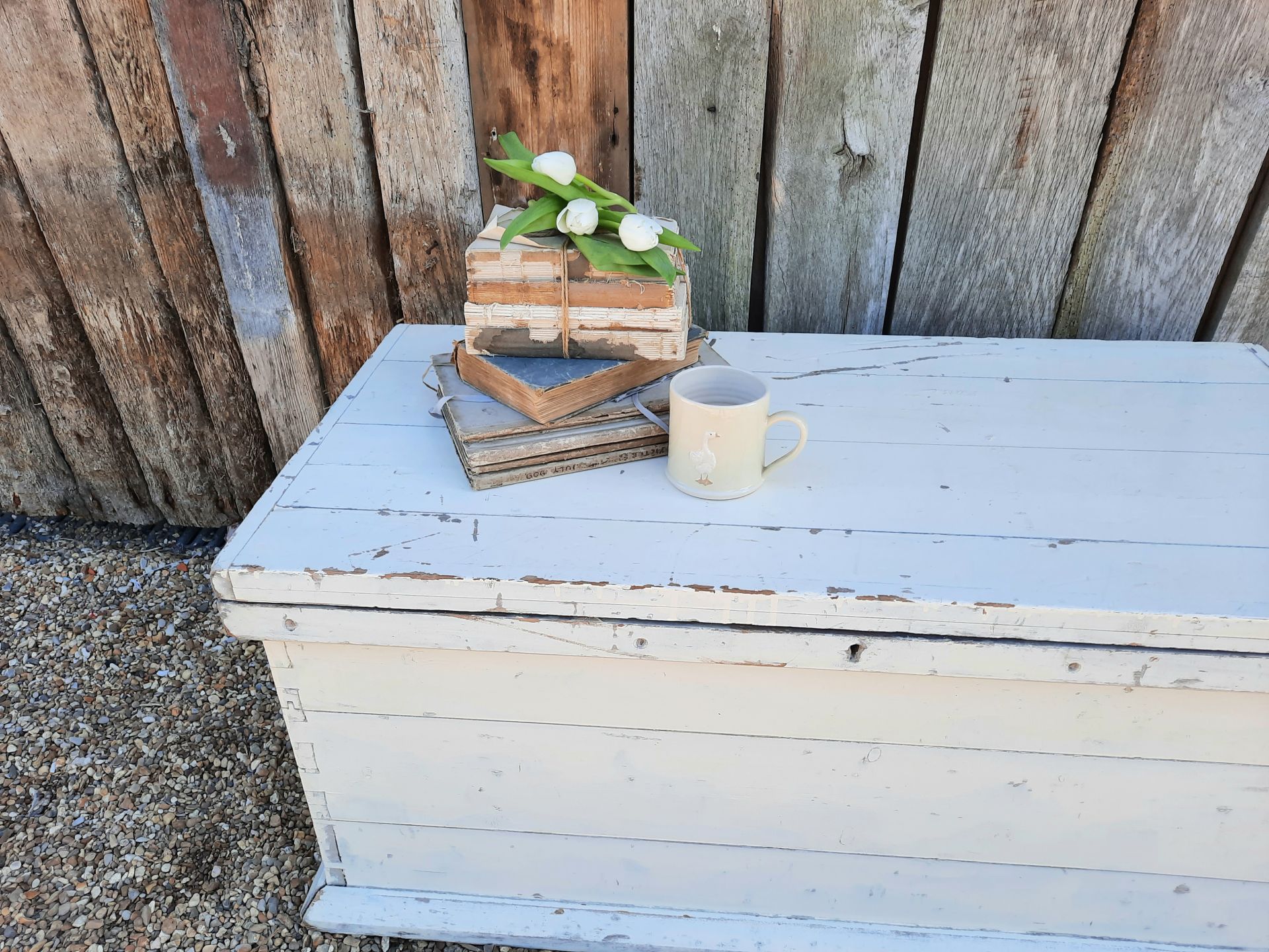 Chippy Cream Wooden Trunk for Sale - Storage - Trunk Vintage Furniture