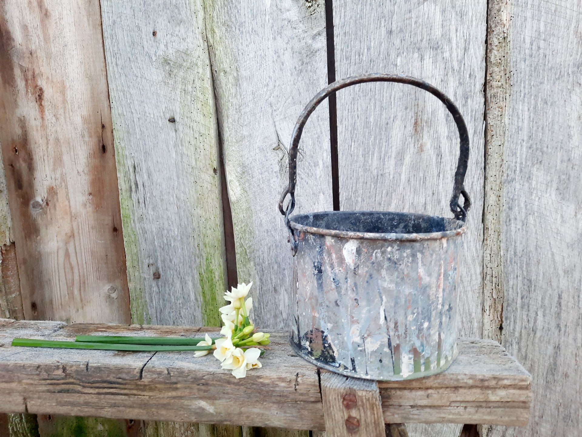 Rustic Paint Kettle for Sale - Easter Collection - Trunk Vintage Furniture